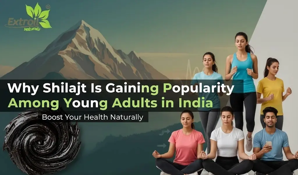 Why Shilajit Is Gaining Popularity Among Young Adults in India - Extroil